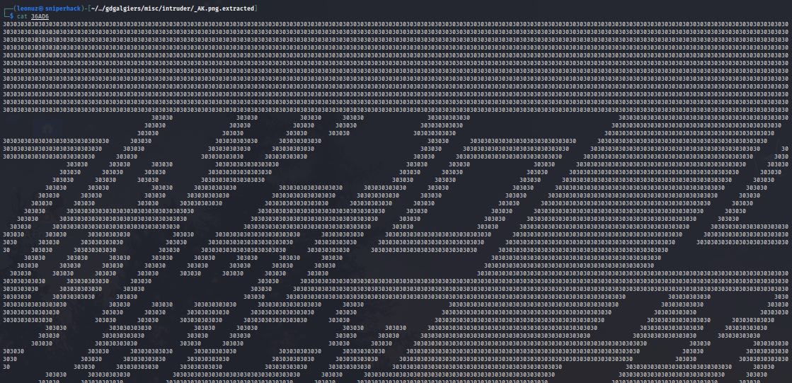 Intruder Misc Challenge Writeup CTF GDG Algiers 2022